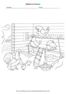 8 Dibujos de pollos para colorear | TodoSobreColores