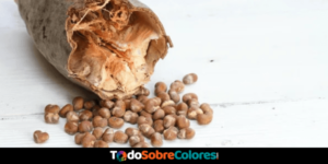 16 Frutas y verduras de color morado y sus beneficios | TodoSobreColores